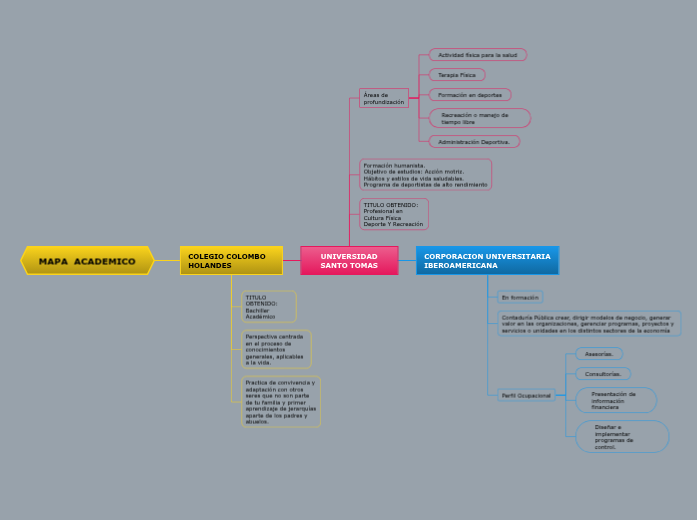 MAPA ACADEMICO - Mind Map
